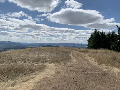 2023 Best Wildlife Trails in Pleasant Hill | AllTrails