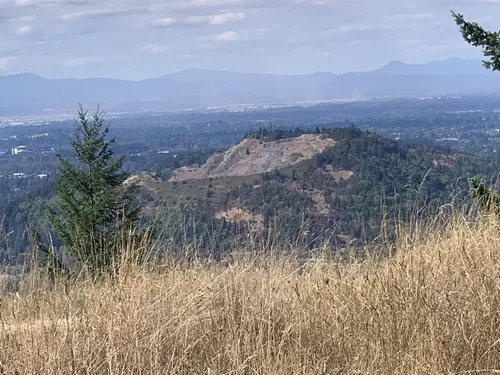 2023 Best Wildlife Trails in Pleasant Hill | AllTrails