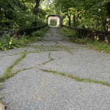 Forest Hill Park Loop, Ohio - 184 Reviews, Map | AllTrails