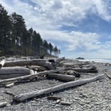 Ruby Beach, Washington - 1,349 Reviews, Map | AllTrails