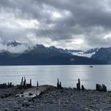 Seward Waterfront Shore Path, Alaska - 324 Reviews, Map | AllTrails