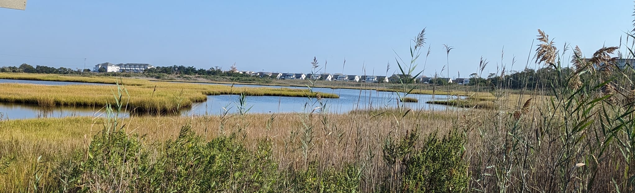 Cape May Marsh Boardwalk: 28 foto's - New Jersey | Wandelen - AllTrails