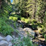 Butler Gulch Trail, Colorado - 2,490 Reviews, Map | AllTrails
