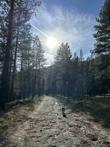 Best 10 Hikes and Trails in Rattlesnake National Recreation Site ...