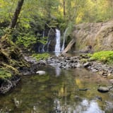 Beaver Falls, Washington - 270 Reviews, Map | AllTrails