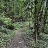 Talus Rocks Loop, Washington - 1,374 Reviews, Map | AllTrails