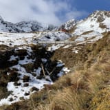 Temple Basin Track, Canterbury, New Zealand - 123 Reviews, Map | AllTrails