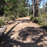 Huckleberry Hill Loop Trail, California - 845 Reviews, Map | AllTrails