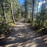 String Lake Trail, Wyoming - 1,939 Reviews, Map | AllTrails