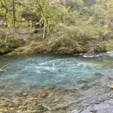 Greer Spring Trail, Missouri - 338 Reviews, Map | AllTrails