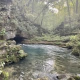 Greer Spring Trail, Missouri - 338 Reviews, Map | AllTrails