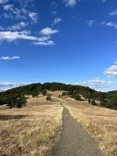 Best Hikes and Trails in Baskett Slough National Wildlife Refuge ...