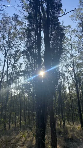 Best Walking Trails in Wattle Ponds | AllTrails