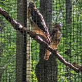 Tree Top Nature Trail, Alabama - 261 Reviews, Map | AllTrails