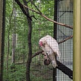 Tree Top Nature Trail, Alabama - 261 Reviews, Map | AllTrails