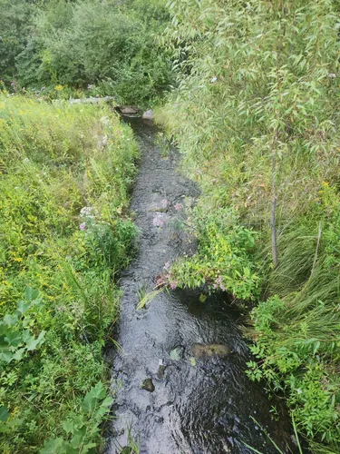 Best Hikes and Trails in Red Mill County Park | AllTrails