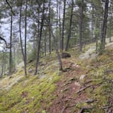 Angleworm Lake Trail, Minnesota - 108 Reviews, Map | AllTrails