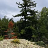 Angleworm Lake Trail, Minnesota - 108 Reviews, Map | AllTrails