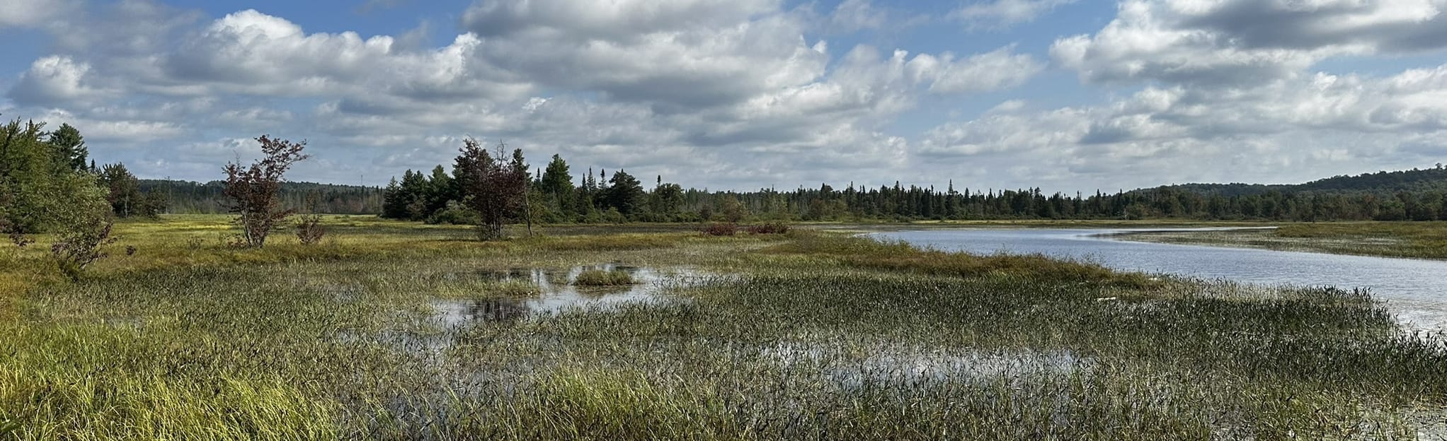 The Wild Center, New York - 72 Reviews, Map | AllTrails