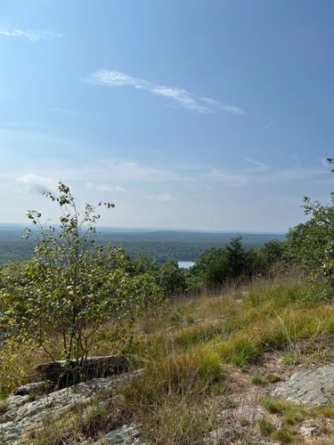 2023 Best 10 Long Trails in Stokes State Forest | AllTrails