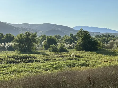 Best 10 Hiking Trails in Irvine Regional Park | AllTrails