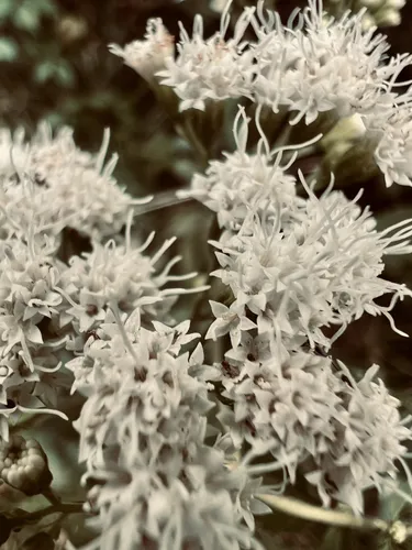 Best Hikes and Trails in Grunwald Farms Forest Preserve | AllTrails