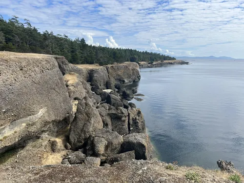10 Best Trails and Hikes in Comox Valley A | AllTrails