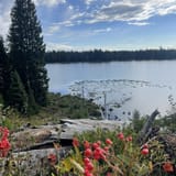 String Lake Trail, Wyoming - 1,939 Reviews, Map | AllTrails