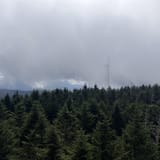 Mount Buckley via Clingmans Dome Bypass Trail, North Carolina - 886 ...