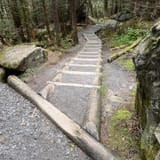 Mount Buckley via Clingmans Dome Bypass Trail, North Carolina - 886 ...
