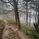 Mount Buckley via Clingmans Dome Bypass Trail, North Carolina - 886 ...