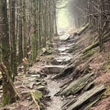 Mount Buckley via Clingmans Dome Bypass Trail, North Carolina - 886 ...