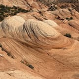 Yant Flats Trail, Utah - 1,097 Reviews, Map | AllTrails