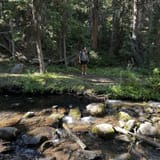 Blue River Trail, Colorado - 1,294 Reviews, Map | AllTrails