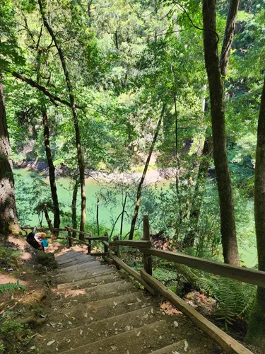 2023 Best Lake Trails in Mill Valley | AllTrails