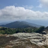 The Long Trail, Vermont - 195 Reviews, Map | AllTrails
