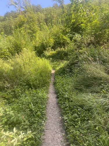 10 Best Hikes and Trails in Bükk National Park | AllTrails