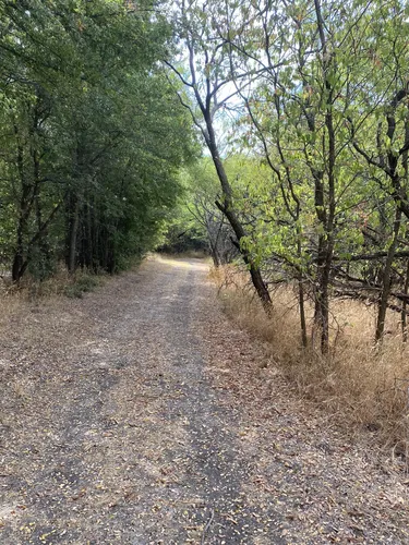 Best Hikes and Trails in Hidden Cove Park | AllTrails