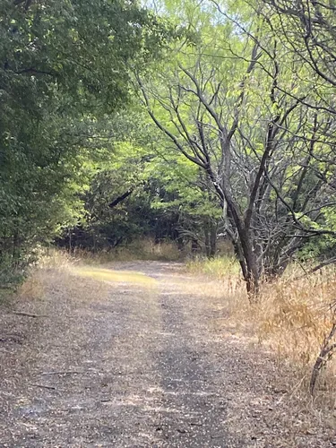 Best Hikes and Trails in Hidden Cove Park | AllTrails