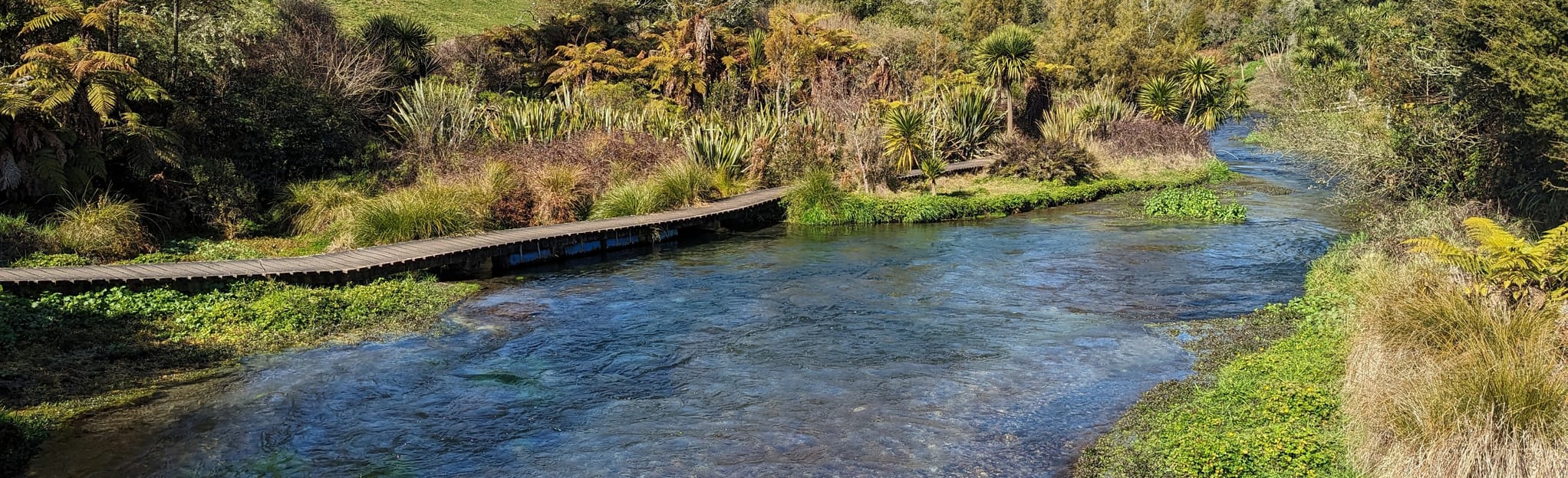 Blue Spring via Te Waihou Walkway from Whites Road: 265 Reviews, Map ...