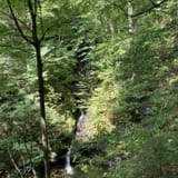 Nebraska Notch via Lake Mansfield Trail, Vermont - 665 Reviews, Map ...
