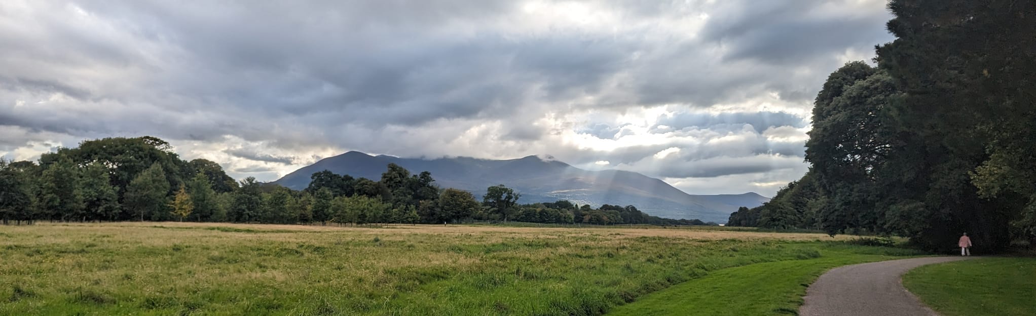 The Fossa Way: 35 foto's - County Kerry, Ierland | Wandelen - AllTrails