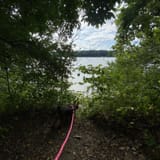 Abraham Lincoln Park White Trail, New York - 1,484 Reviews, Map | AllTrails