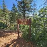 Columbine Trail, Colorado - 1,843 Reviews, Map | AllTrails