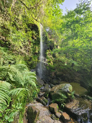 10 Best Walking Trails in Goathland | AllTrails