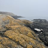 Cattle Point Trail, Washington - 121 Reviews, Map | AllTrails