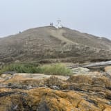 Cattle Point Trail, Washington - 121 Reviews, Map | AllTrails