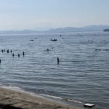 Island Line Rail Trail, Vermont - 527 Reviews, Map | AllTrails