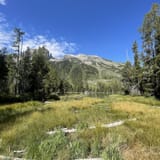 String Lake Trail, Wyoming - 1,939 Reviews, Map | AllTrails