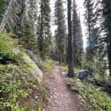String Lake Trail, Wyoming - 1,939 Reviews, Map | AllTrails